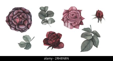 Set gothic red roses with magical texture isolated on white background ...