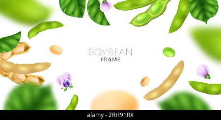Realistic soybean icons set with soy beans on transparent background ...