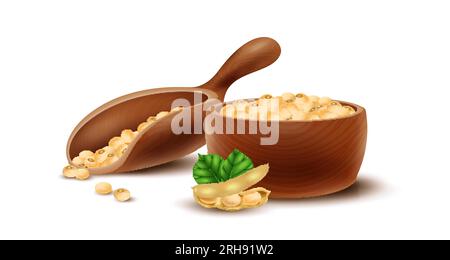 Realistic soybean icons set with soy beans on transparent background ...