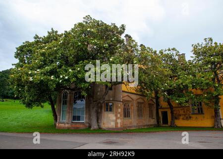Ashton Court mansion house, Long Ashton Stock Photo - Alamy