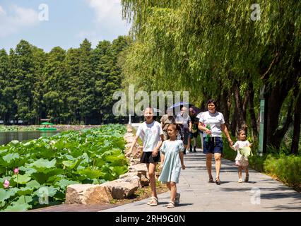 XINGHUA, CHINA - AUGUST 15, 2023 - Ecological beauty of Lixiahe ...