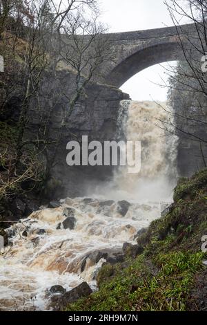 Ashgill Force in Cumbria near to the village of Garrigill is a ...
