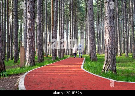 Elderly pair walking on a jogging path that goes through forest Stock ...