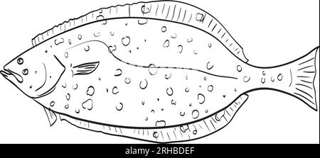 A black and white drawing of a halibut Stock Photo - Alamy