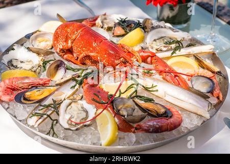 Spectacular lobster with mussels, prawns, clams and razor clams ...