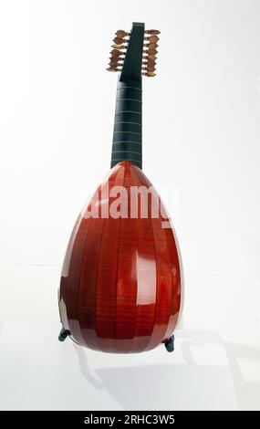 A lute is a plucked string instrument with a neck (either fretted or ...