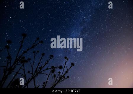 Milky Way and several floating meteors are seen. The scenic view takes ...