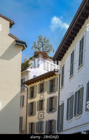 Milan, in Italy, beautiful classical buildings, in the historic center ...