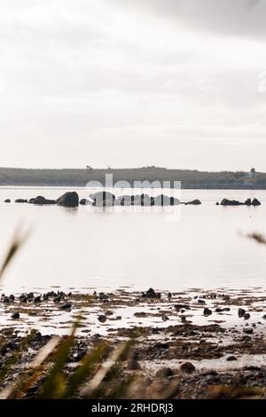 A pile of rocks sat in the Bluff harbour Stock Photo - Alamy