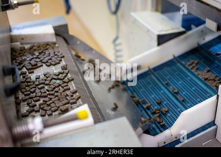 Potsdam, Germany. 15th Aug, 2023. German Chancellor Olaf Scholz (SPD ...