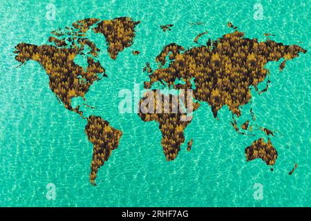 World map made up of various detailed trees on solid white background ...