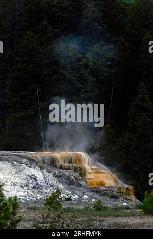 Cleopatra Terrace after sunset. Mammoth Hot Springs. Yellowstone ...
