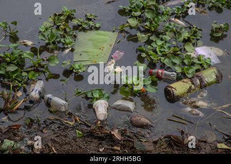 water garbage Polluted water Fishes dirty river with trash and plastic ...