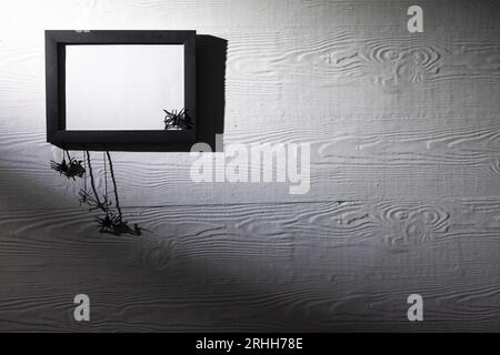Black frame, spiders with copy space on white background Stock Photo ...