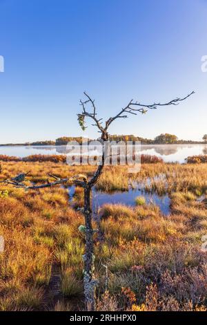 Desolate Beach on a Remote Lakeshore Stock Photo - Alamy