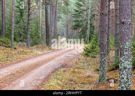 Beautiful Winding Road in Woodland at Fall Season. Top Down Drone ...