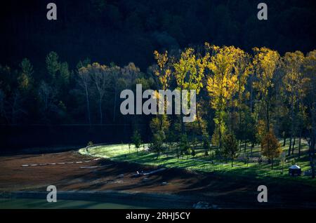 alberi in autunno al lago di Mercatale Stock Photo - Alamy