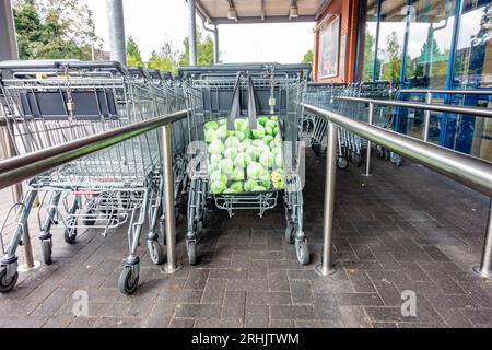 A person has left their Lidl shopping bag hung on the back of a trolley ...