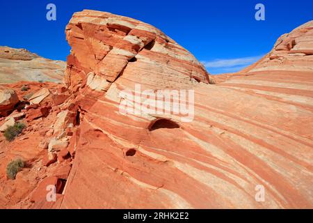 Close up of the striped Fire Wave rock strata which forms pink ...