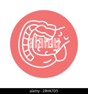 Human organ duodenum color line icon. Isolated vector element. Outline ...
