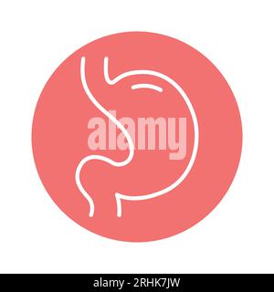 Human organ stomach color line icon. Isolated vector element. Outline ...