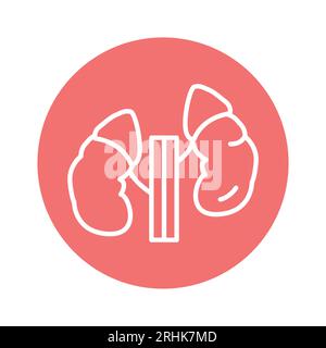 Adrenal glands color line icon. Endocrine system. Pictogram for web ...