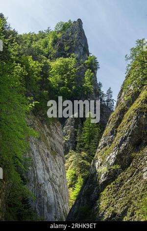 Rocks of Maninska tiesnava gorge in Strazov mountains, Slovakia Stock ...