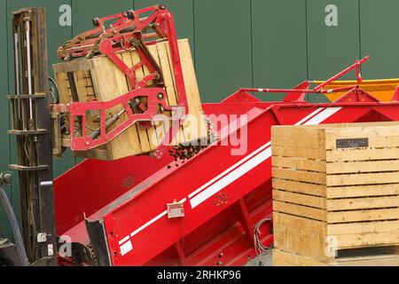 A loader unloads potatoes into a container for subsequent feeding onto ...
