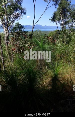 The view from the Hinchinbrook island lookout, Cardwell, Queensland ...