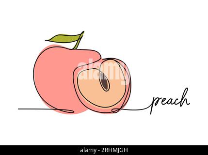 Peach fruit in continuous line art drawing style. Simple black sketch ...