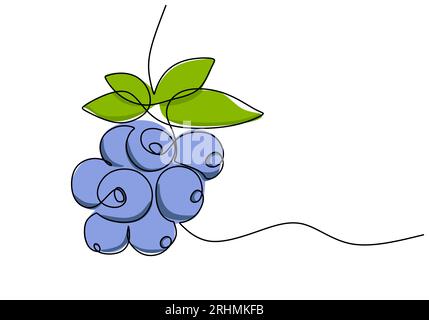 Blueberry continuous one line drawing, fruit vector illustration Stock ...
