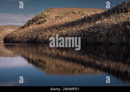 Trees in Winter Hogback Dam Hartland, Connecticut, USA Stock Photo - Alamy