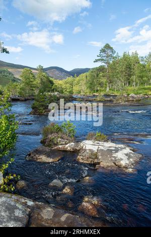 River Cannich and native woodland in Glen Cannich Stock Photo - Alamy