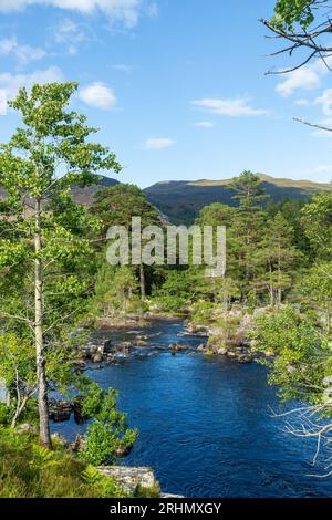 River Cannich and native woodland in Glen Cannich Stock Photo - Alamy