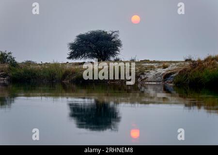 Namibia. The banks of Okavango river at dusk Stock Photo - Alamy