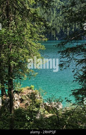 Lake of Tovel in Val di Non, Northern Italy Stock Photo - Alamy