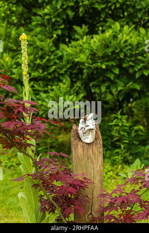 Garden still life, oysters on wooden stake, nature background Stock ...