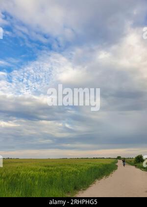 Endless wheat field. Beautiful landscape. Rich harvest Stock Photo - Alamy