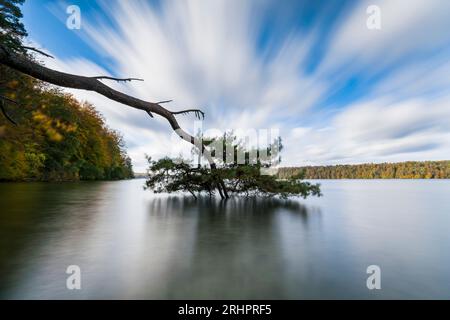 Lake Stechlinsee, Stechlin in autumn, Brandenburg, Germany Stock Photo ...