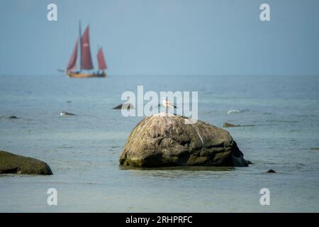 Hiddensee, beach at Klausner, sail ship Stock Photo - Alamy