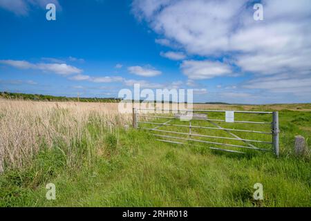 Dingle Marshes Nature Reserve at Dunwich Suffolk England UK Stock Photo ...