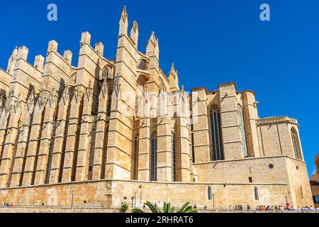 Experience the iconic Mallorca cathedral in all its exterior grandeur ...
