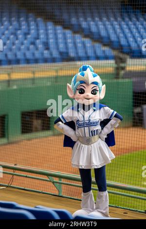Baseball game Fubon Guardian versus Brothers in Taipei Stock Photo - Alamy