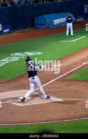Baseball game Fubon Guardian versus Brothers in Taipei Stock Photo - Alamy