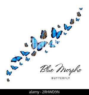 Fiying Monarch butterflies. Vector illustration isolated on white ...