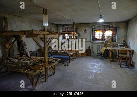 Dolinka, Kazakhstan - August 17, 2023: Karlag Memorial Museum, located ...
