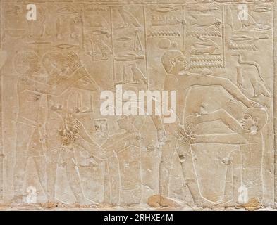Egypt, Saqqara, tomb of Ankhmahor, famous and rare scene of ...