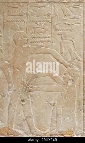 Egypt, Saqqara, tomb of Ankhmahor, famous and rare scene of ...