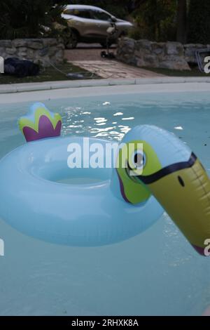 Inflatable Pelican Pool Toy In Empty Pool Stock Photo - Alamy