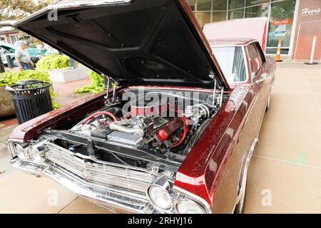 Classic car show bodies and engines Stock Photo - Alamy